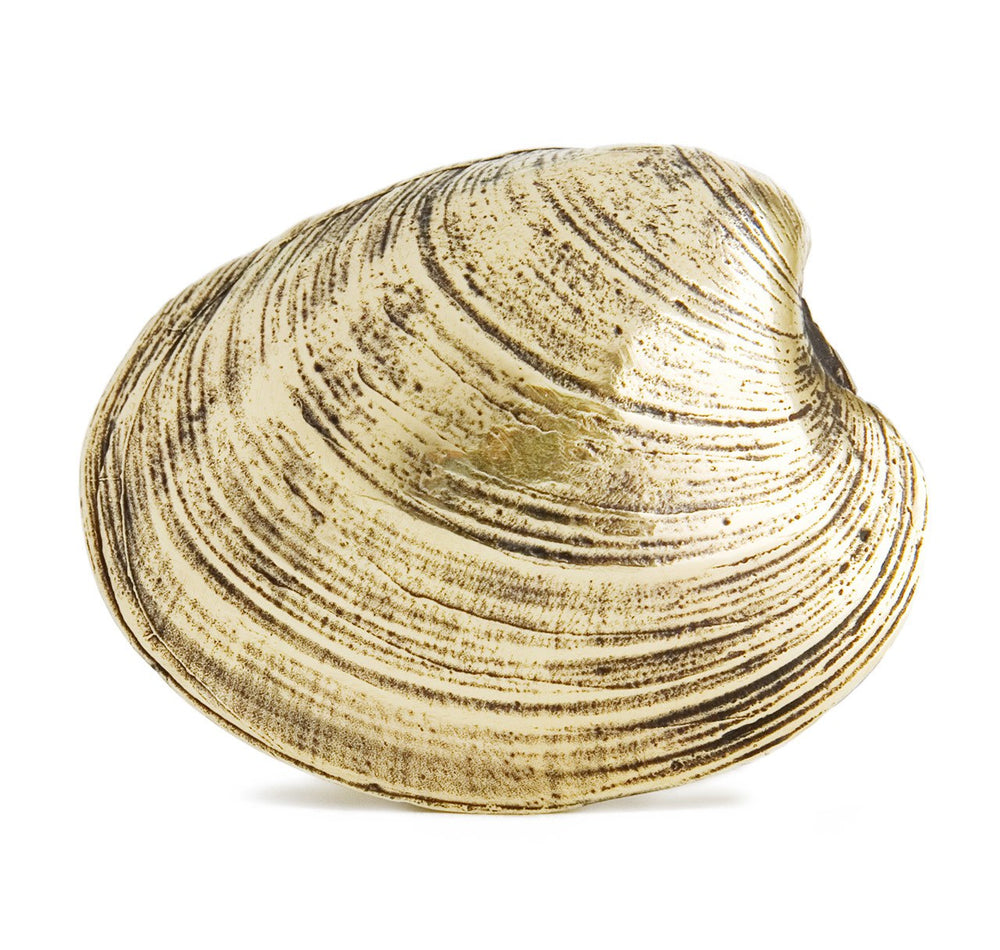 Quahog Shell Belt Buckle