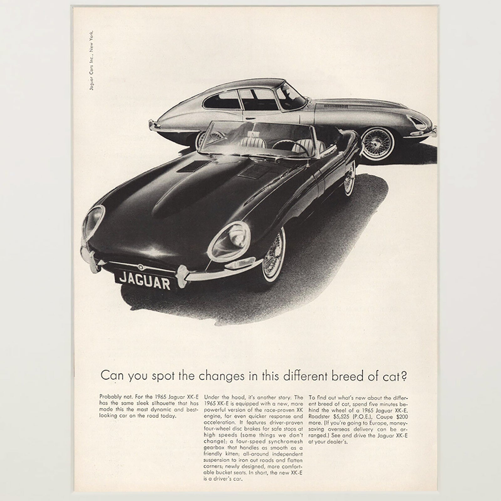 Framed Jaguar Motors 1965 XK-E Advertisement